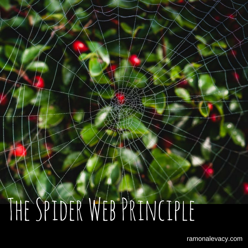 The Spider Web Principle – goodchristianfiction